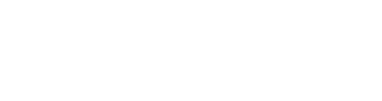 TERMINE - BELLISSIMA EVENT | FESTE